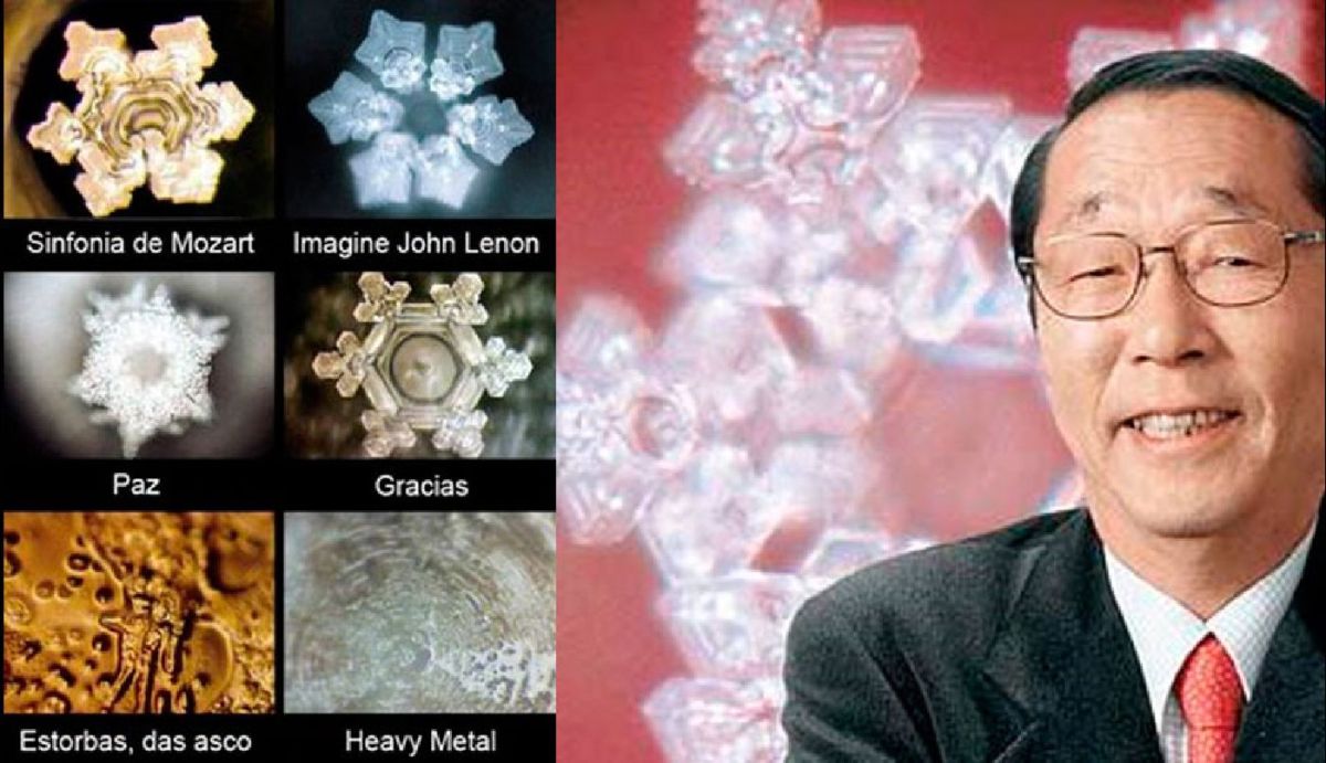 L’insegnamento di Masaru Emoto sui (formidabili) poteri dell’acqua ...